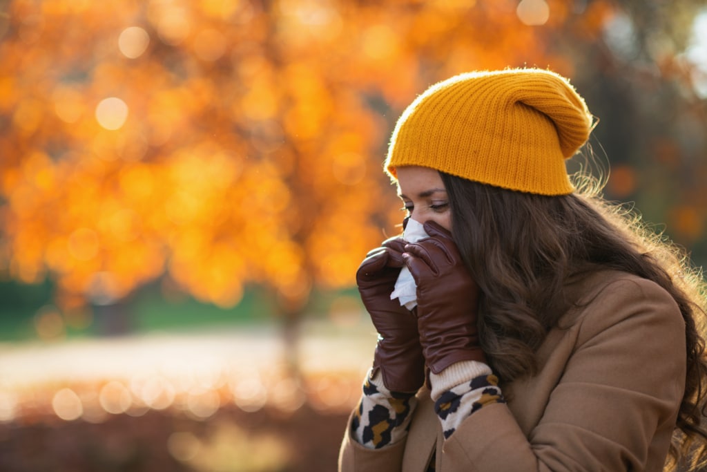 What to Know About Fall Allergies and The Approaching Cold, Flu Season ...