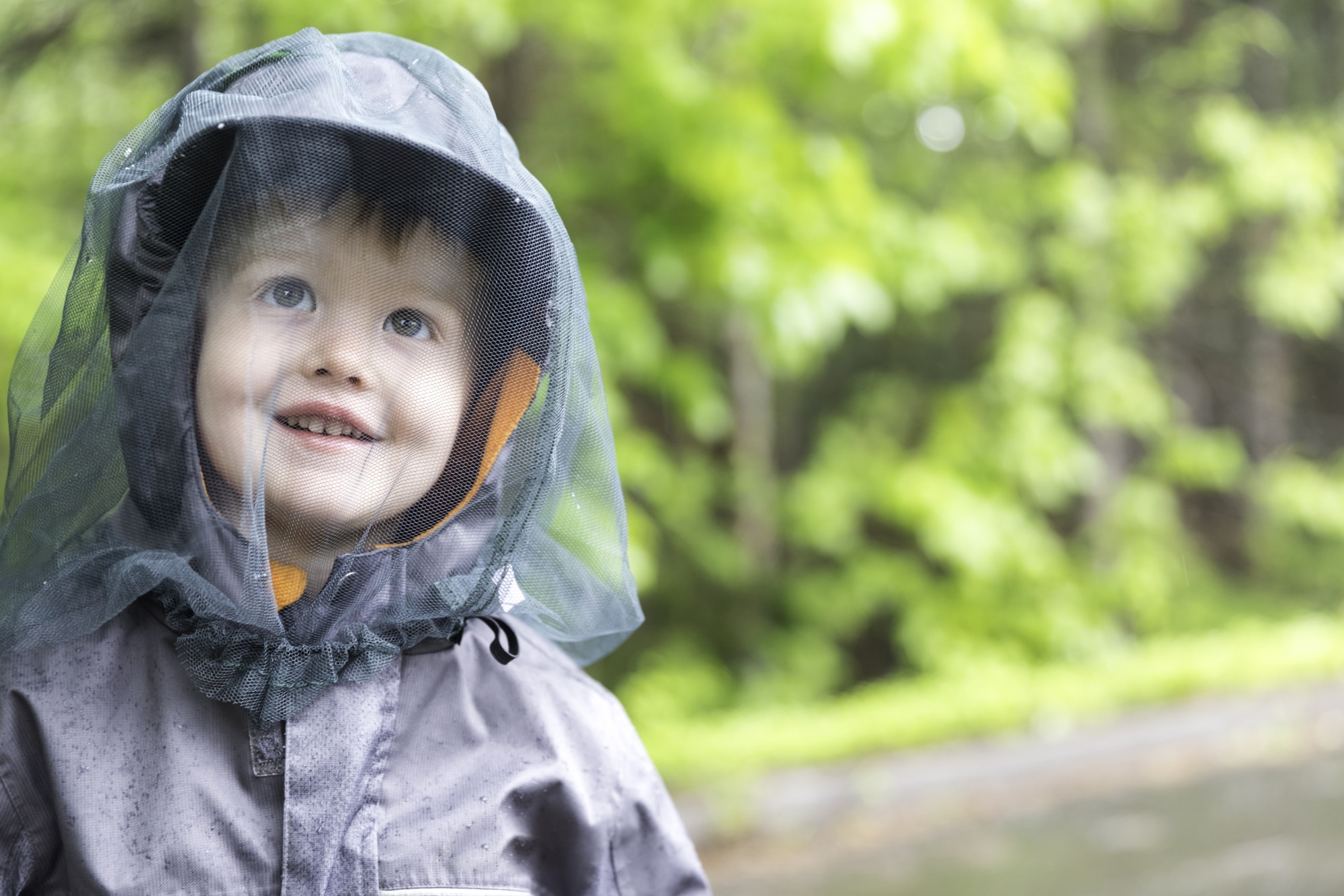 Insect Sting Allergy: Symptoms, Causes & Treatment | AllerVie Health